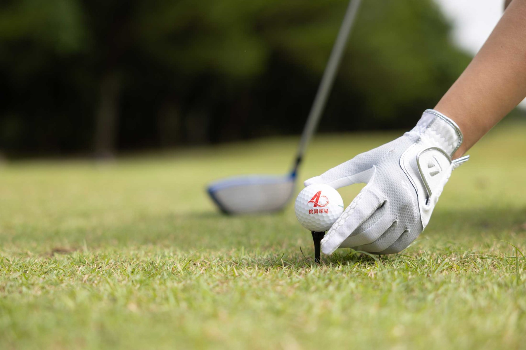 最新消息 - Yaward Resort