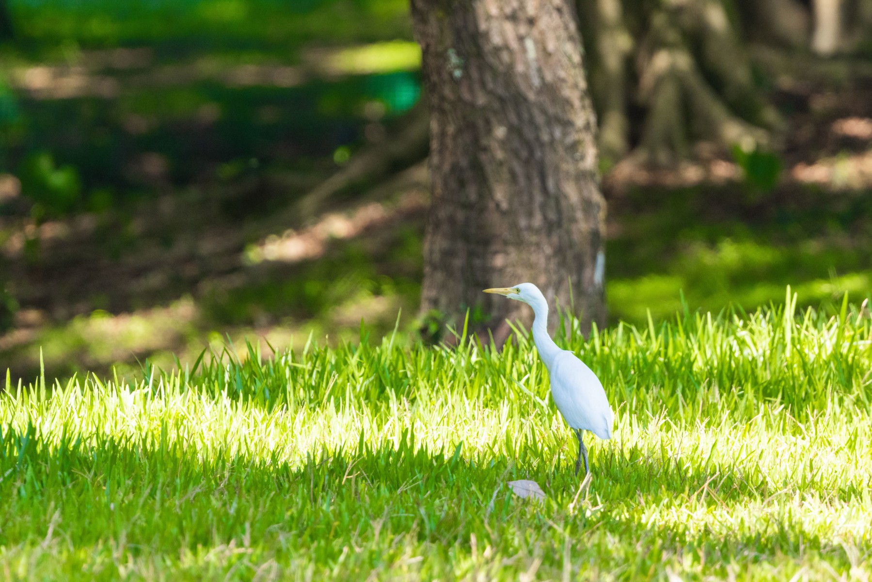 最新消息 - Yaward Resort